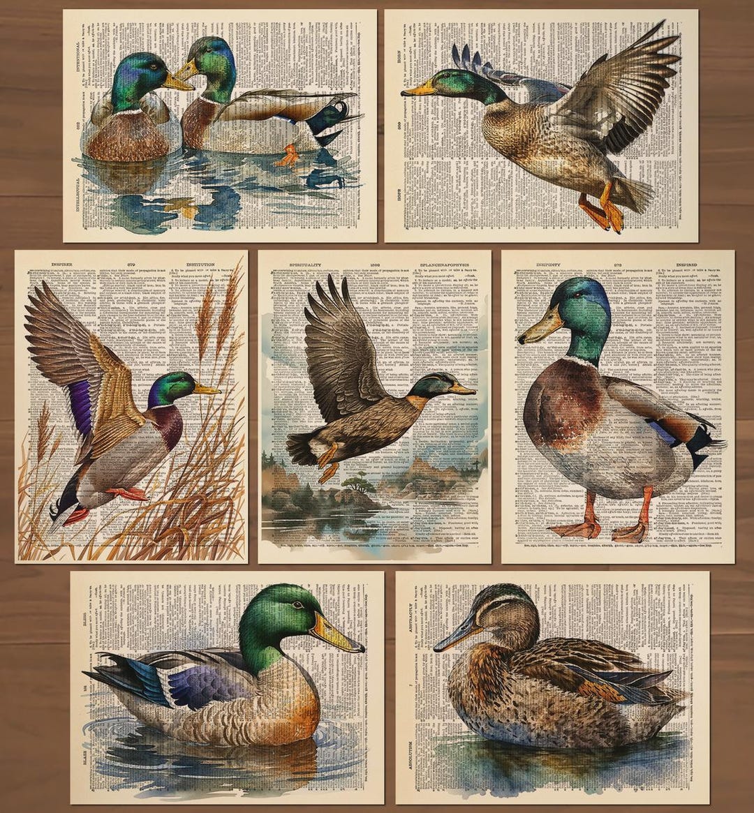Mallard Duck Art Print Set of 7 Ducks Wall Art Ducks Painting Ducks ...