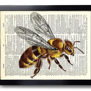Bee Print Set of 7 Prints Bee Poster Bee Farmhouse Decor Bumble Bee Art ...