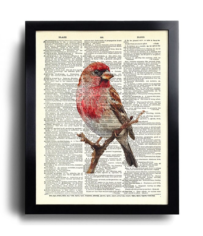 Bird Print Set of 6 Birds Poster Cardinal Print Goldfinch Bird Gift ...