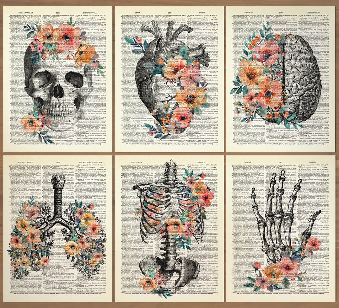 Anatomy Print Set of 6 Human Anatomy Poster Floral Medical Wall Art ...