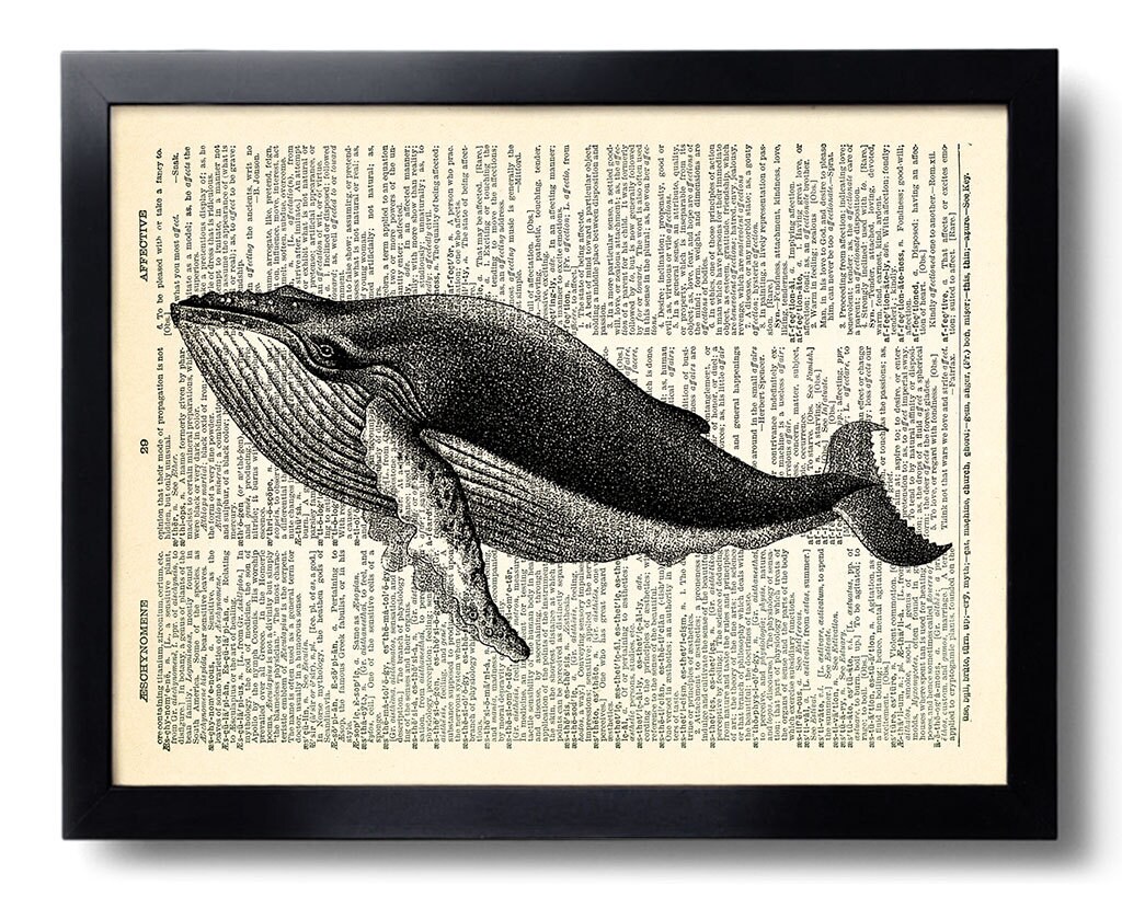 Whale Sea Life Art Print Whale Decorative Art Whale Wall | Etsy