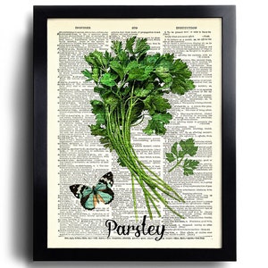 Kitchen Herbs Print Set of 6 Prints Oregano Poster Basil Wall Decor ...