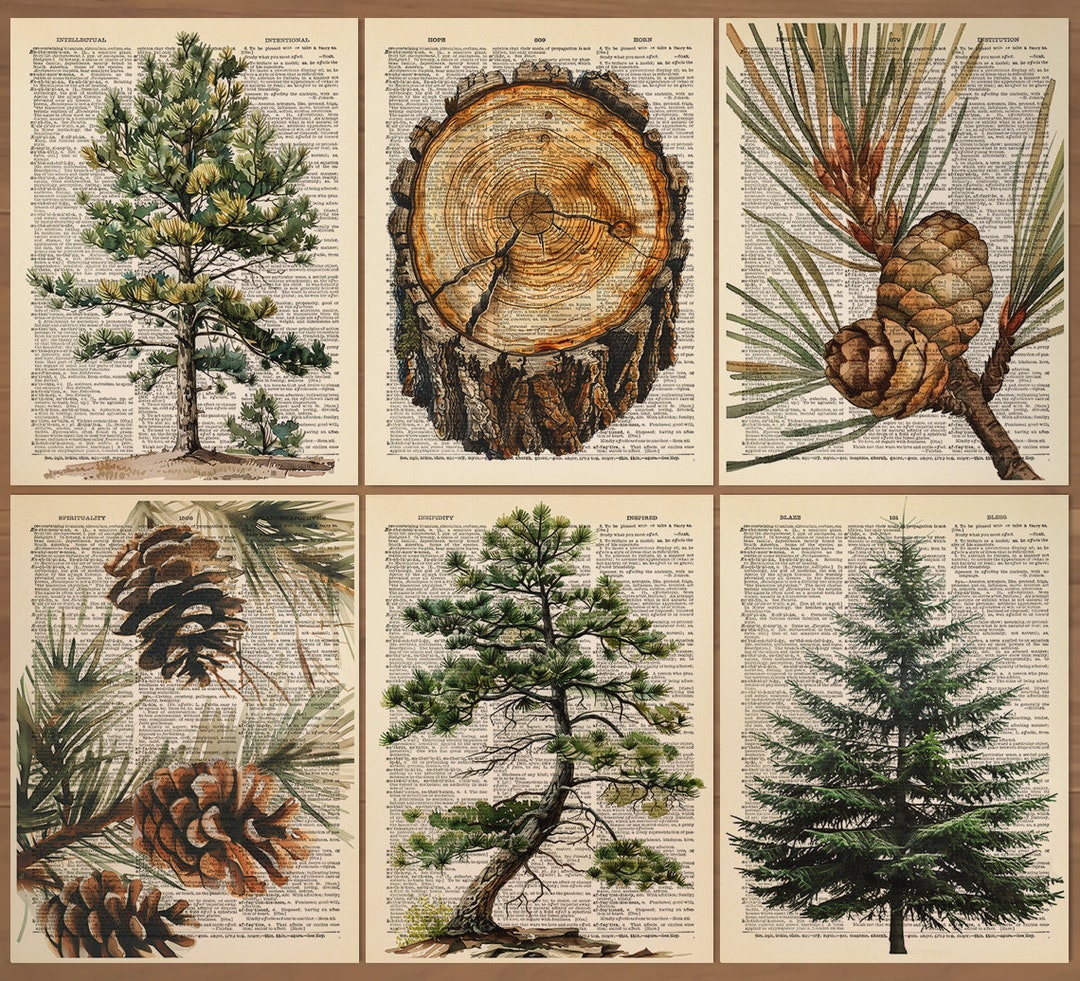Pine Tree Print Set of 6 Pine Poster Pine Cone Print Forest Art Country ...