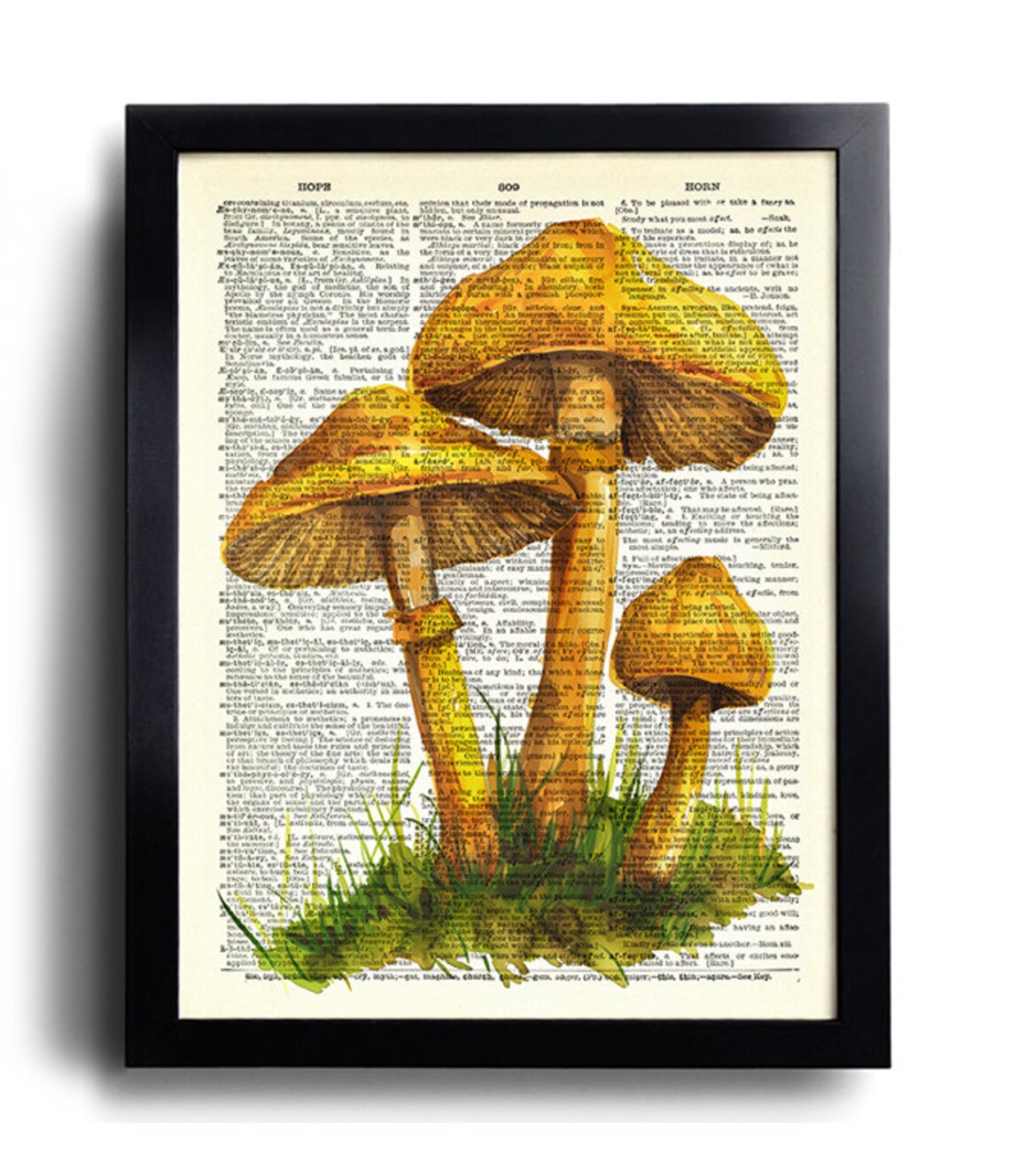 Mushroom Print Mushroom Decor Set of 6 Prints Mushroom Poster Mushroom ...