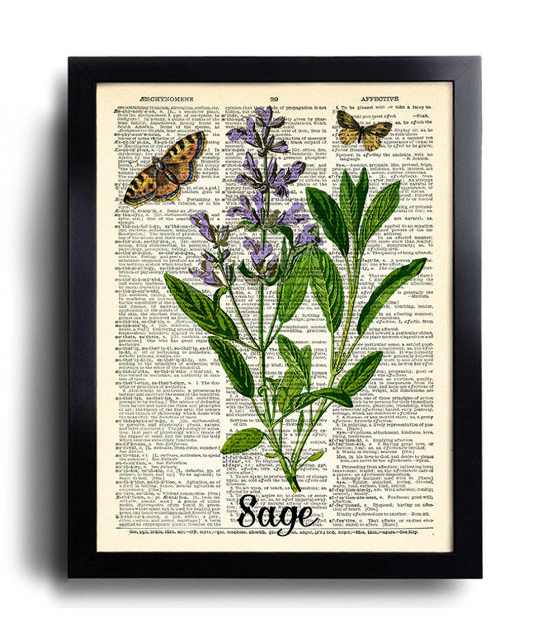 Sage Print Cooking Herb Print Kitchen Herbs Print Sage Herbs Wall Decor ...