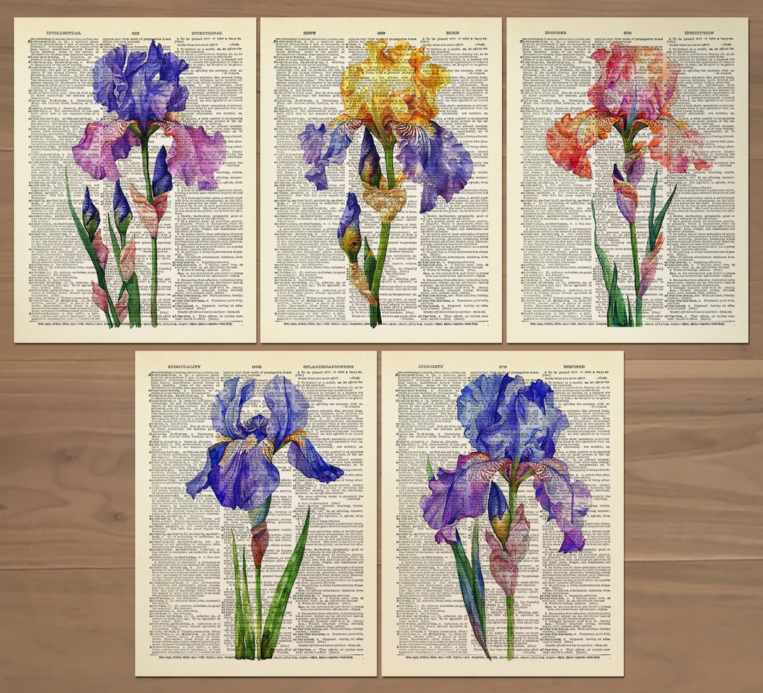 Iris Flower Print Set of 5 Iris Flowers Wall Art Iris Poster Iris Print ...