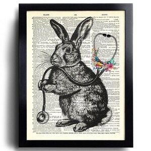 Veterinarian Print Set of 6 Animal Vet Wall Art Veterinarian Office ...