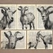 Goat Print Set of 5 Goat Poster Goat Painting Goat Art Print Goat Gifts ...