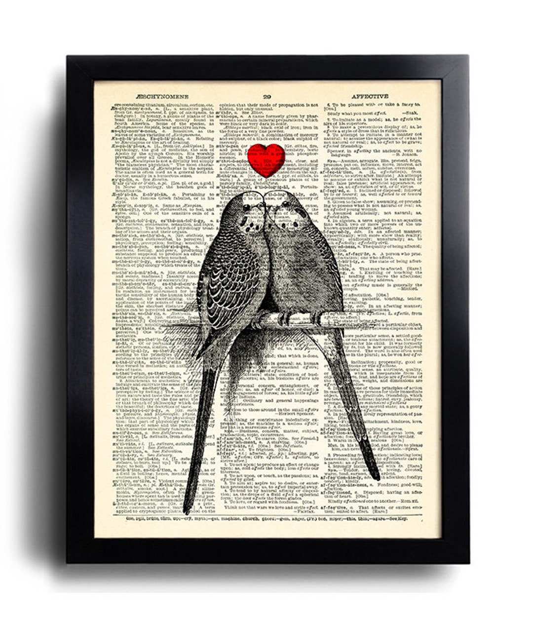 Love Bird Heart Love Art Print Book Page Art Lory Couple Parrot Poster ...