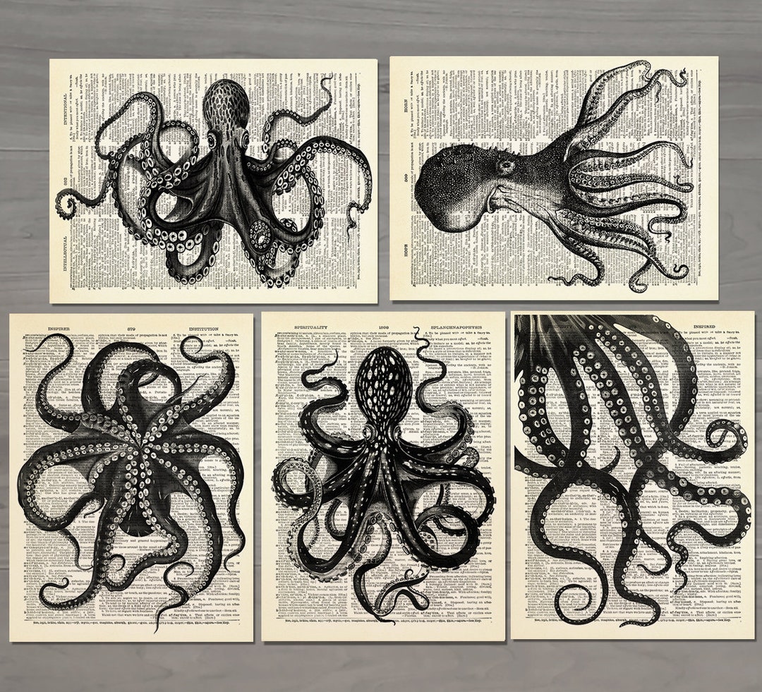 Octopus Prints Set of 5 Octopus Poster Octopus Print Squid Gift Set ...