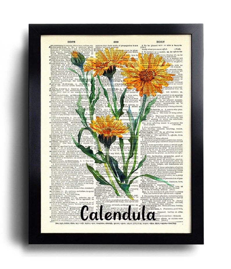 Medicinal Plants Herbs Print Set of 8 Prints Healing Flowers Art ...