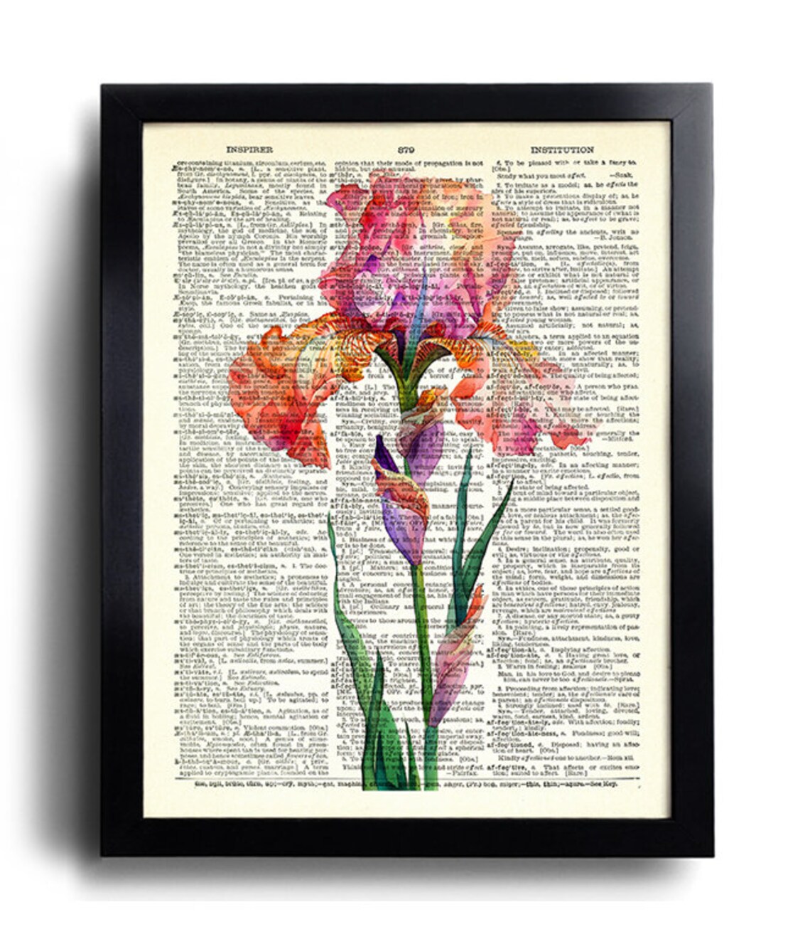 Iris Flower Print Set of 5 Iris Flowers Wall Art Iris Poster Iris Print ...