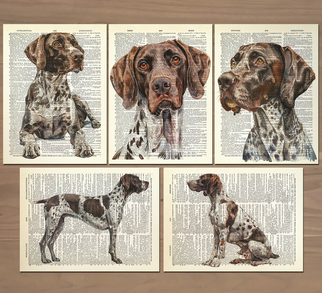 German Shorthaired Pointer Dog Print Set of 5 German Shorthaired ...