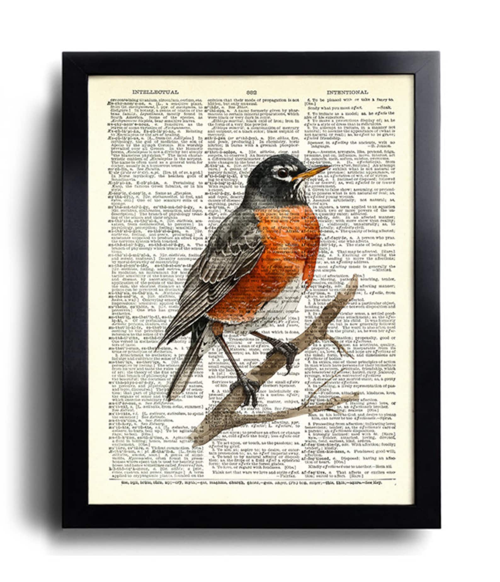 Bird Print Set of 6 Birds Poster Cardinal Print Goldfinch Bird Gift ...