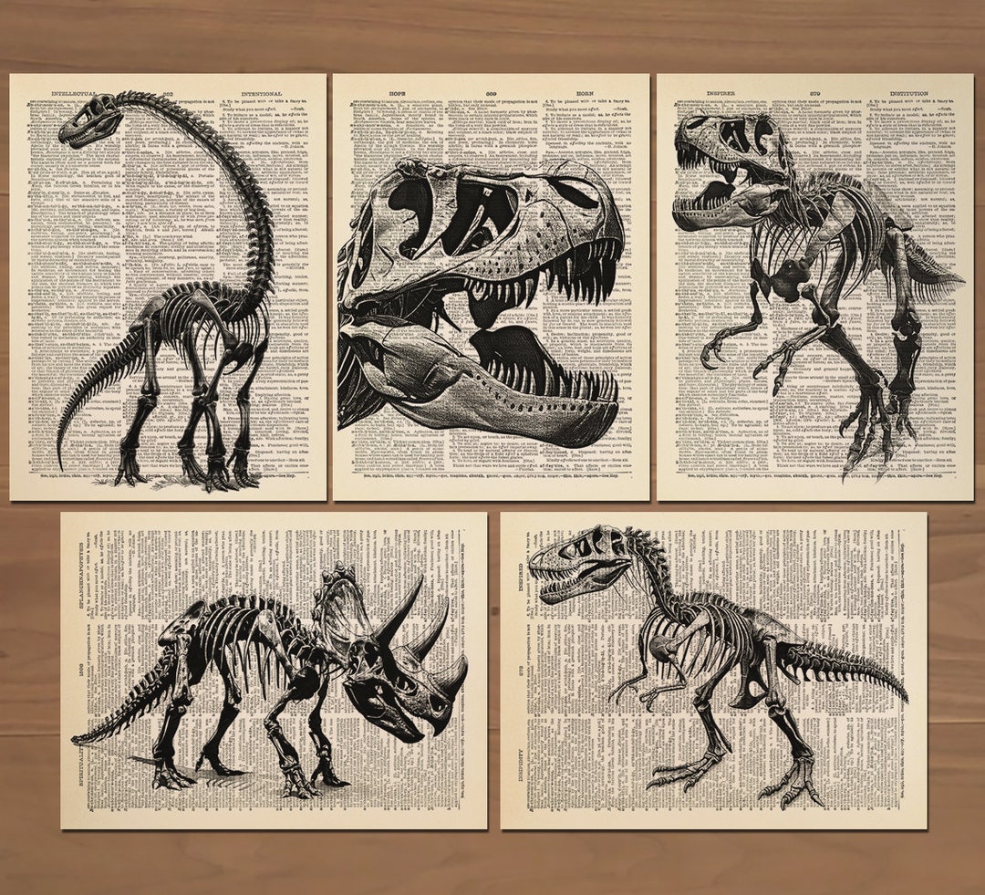 Dinosaur Print Set of 5 Dinosaur Skeleton Poster Dinosaur Decor ...