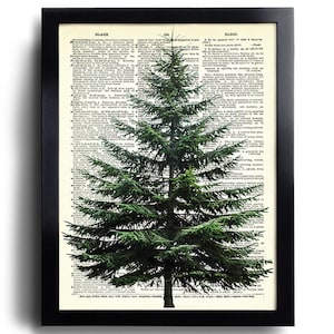 Pine Tree Print Set of 6 Pine Poster Pine Cone Print Forest Art Country ...