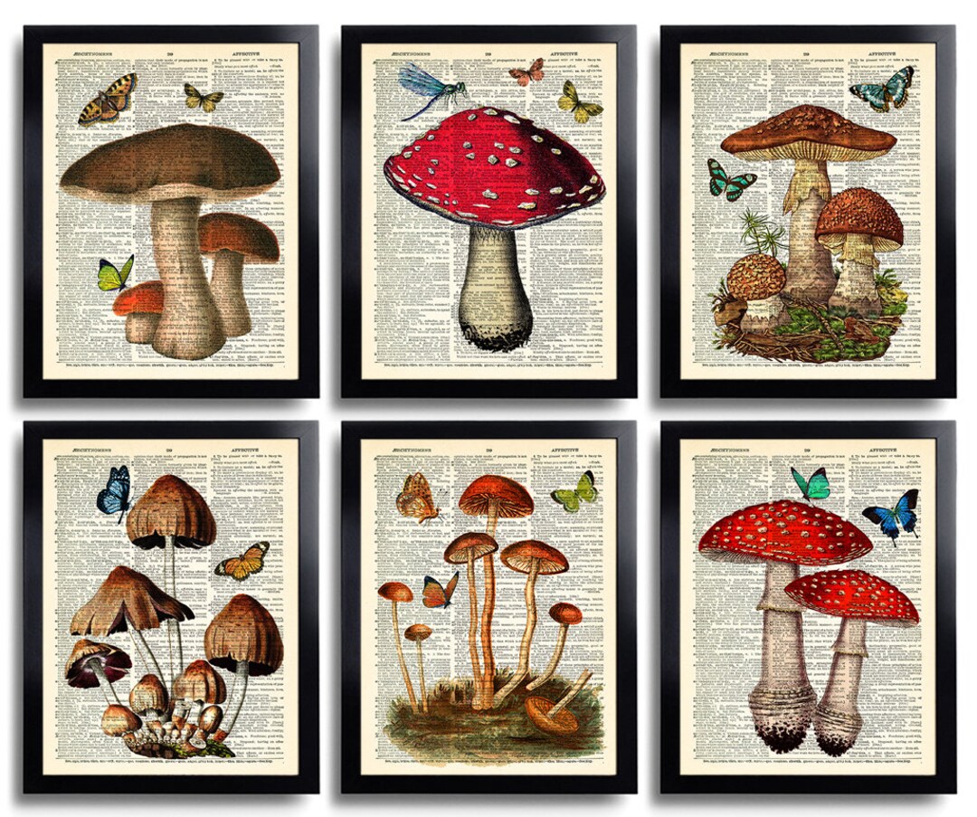 Mushroom Print Mushroom Decor Set of 6 Prints Mushroom Poster - Etsy