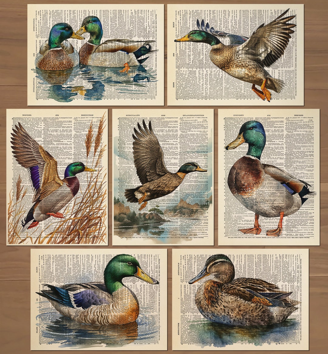 Mallard Duck Art Print Set of 7 Ducks Wall Art Ducks Painting Ducks ...