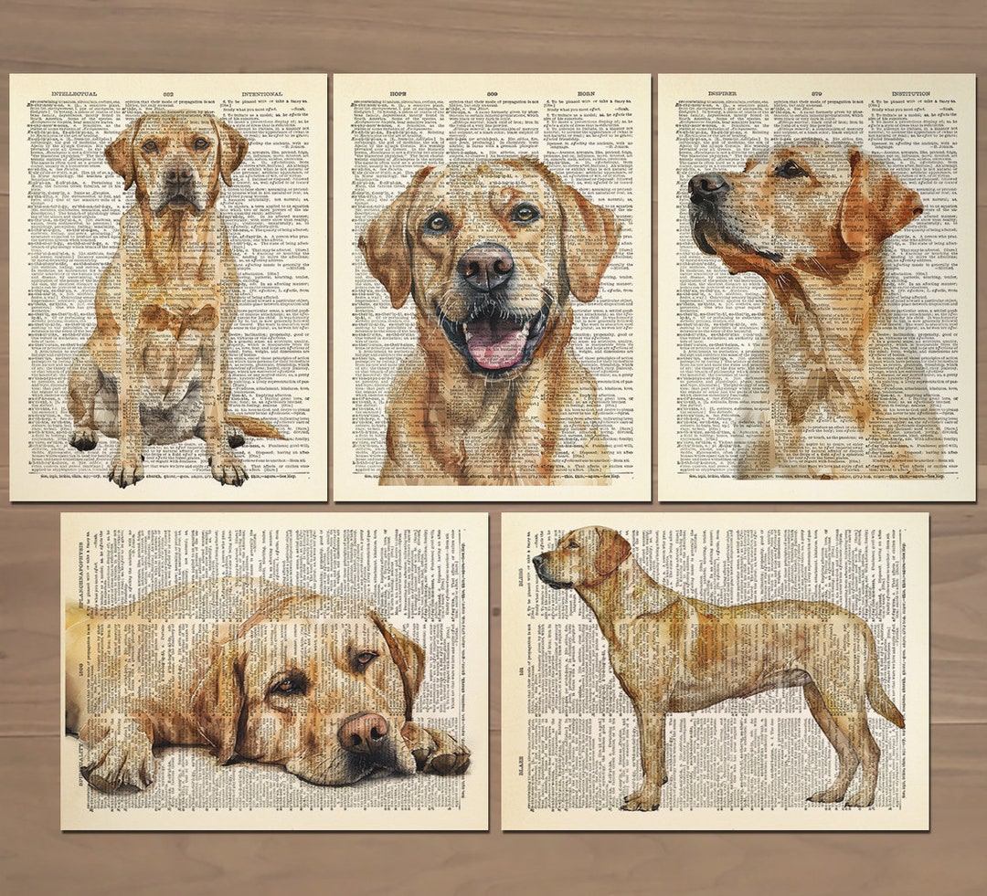 Labrador Retriever Print Set of 5 Labrador Retriever Poster Labrador ...