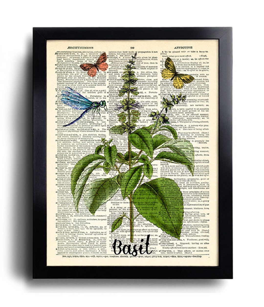 Basil Print Cooking Herb Print Kitchen Herbs Print Herbs Wall Decor ...