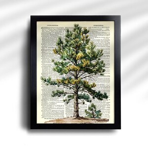 Pine Tree Print Set of 6 Pine Poster Pine Cone Print Forest Art Country ...