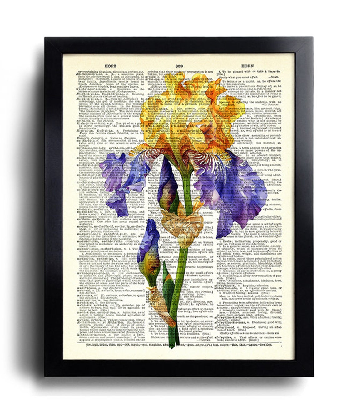Iris Flower Print Set of 5 Iris Flowers Wall Art Iris Poster Iris Print ...
