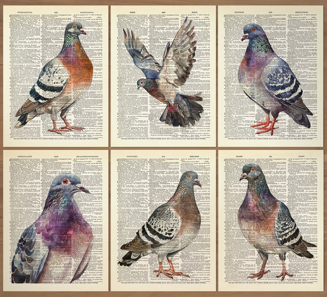 Pigeon Print Set of 6 Pigeon Poster Pigeon Bird Print Pigeon Wall Art ...