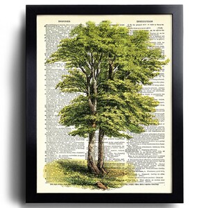 Tree Print Set of 6 Trees Poster Tree Green Nature Print Vintage Book ...