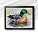 Mallard Duck Art Print Set of 7 Ducks Wall Art Ducks Painting Ducks ...