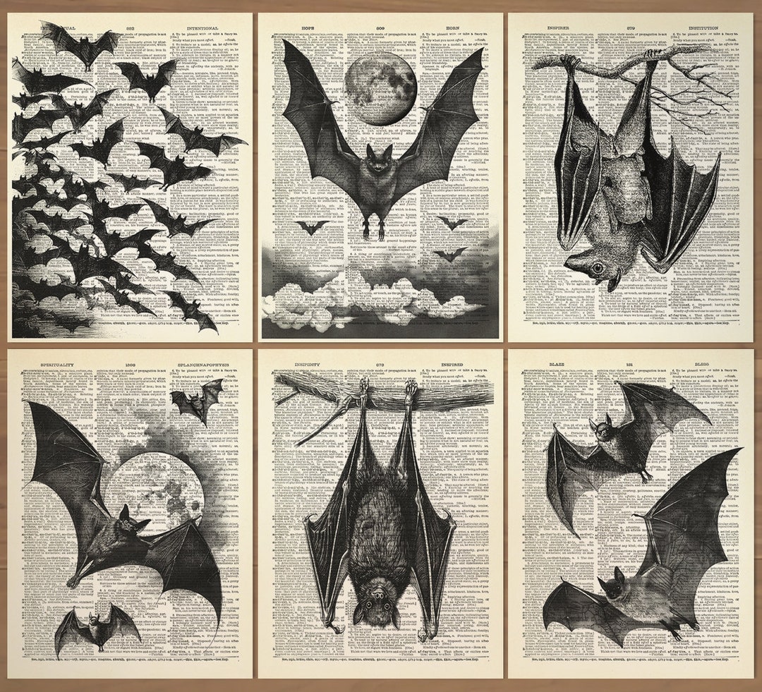Bat Print Set of 6 Prints Bat Poster Bat Gothic Decor Bat Wall Art Bat ...