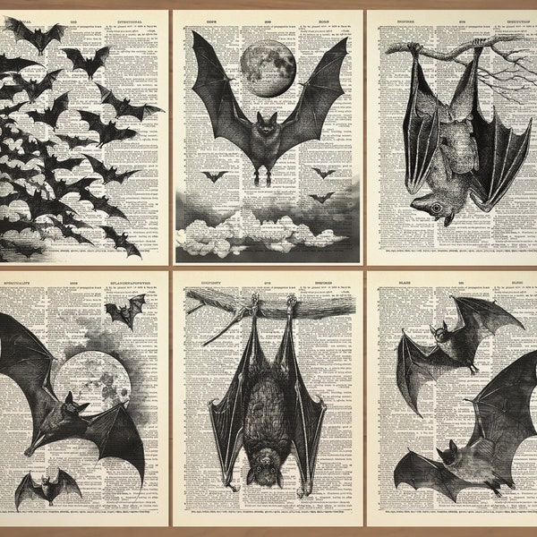 Bat Poster - Etsy