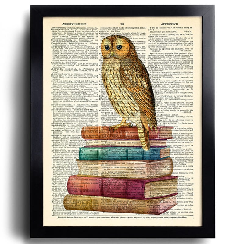 Owl Wall Decor - Etsy