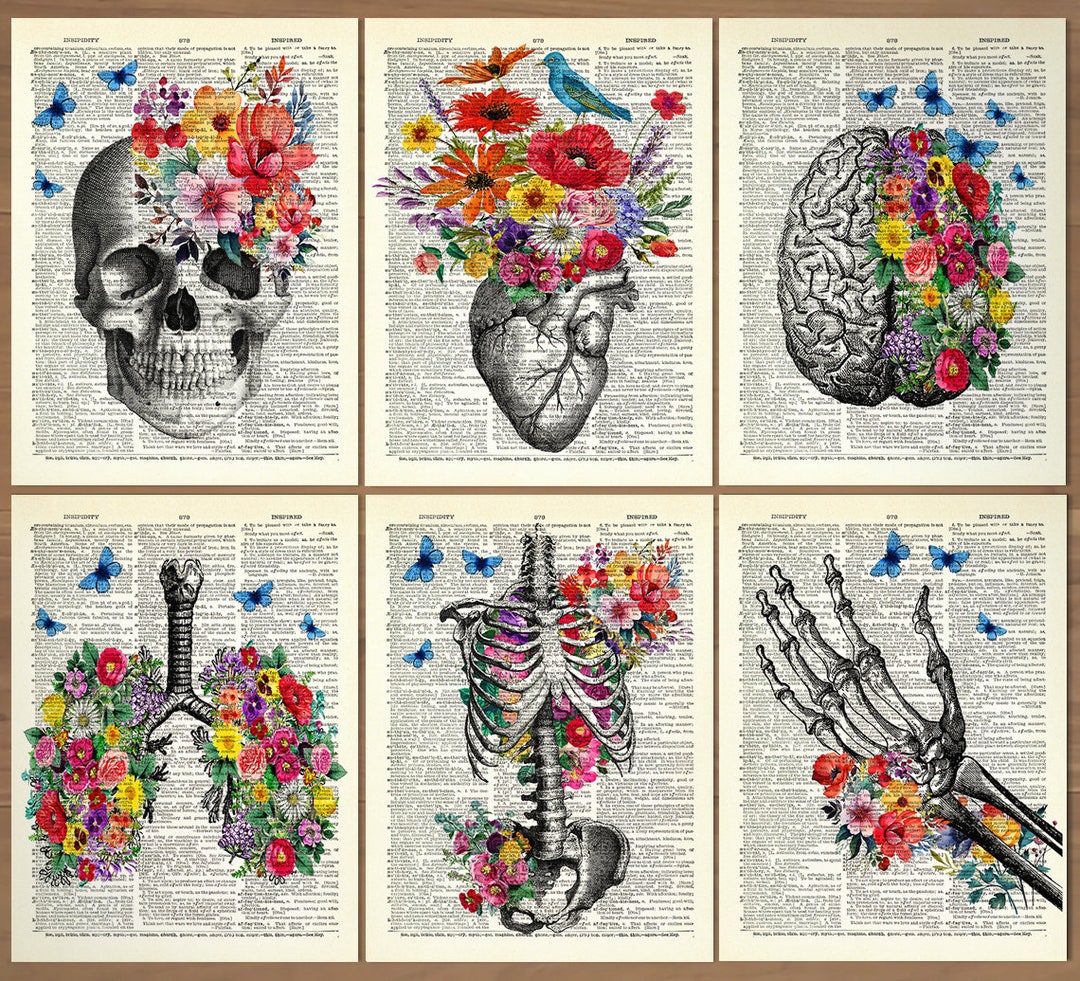 Anatomy Print Set of 6 Floral Medical Wall Art Human Anatomy Poster ...