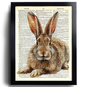 Rabbit Art Print Set of 6 Rabbit Wall Art Rabbit Poster Rabbit Painting ...