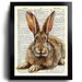 Rabbit Art Print Set of 6 Rabbit Wall Art Rabbit Poster Rabbit Painting ...