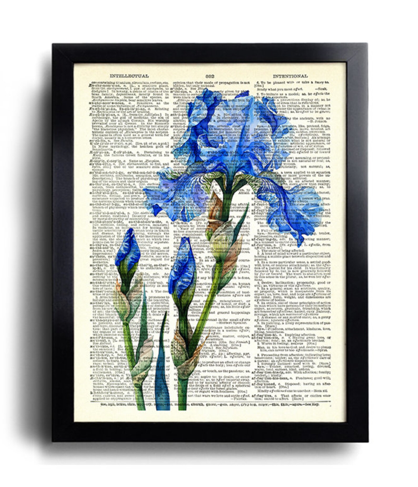 Iris Flower Print Set of 6 Iris Flowers Wall Art Iris Poster Iris Print ...