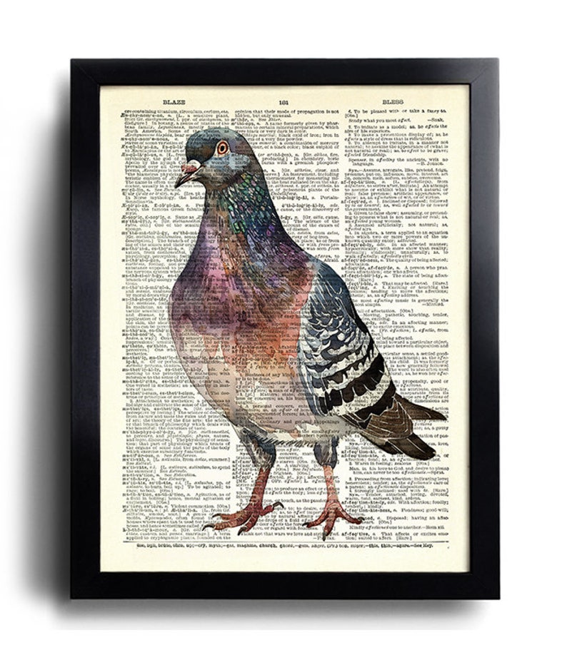 Pigeon Print Set of 6 Pigeon Poster Pigeon Bird Print Pigeon Wall Art ...