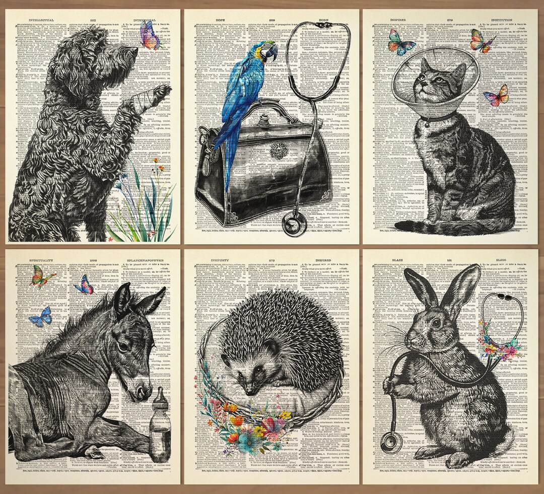 Veterinarian Print Set of 6 Animal Vet Wall Art Veterinarian Office ...