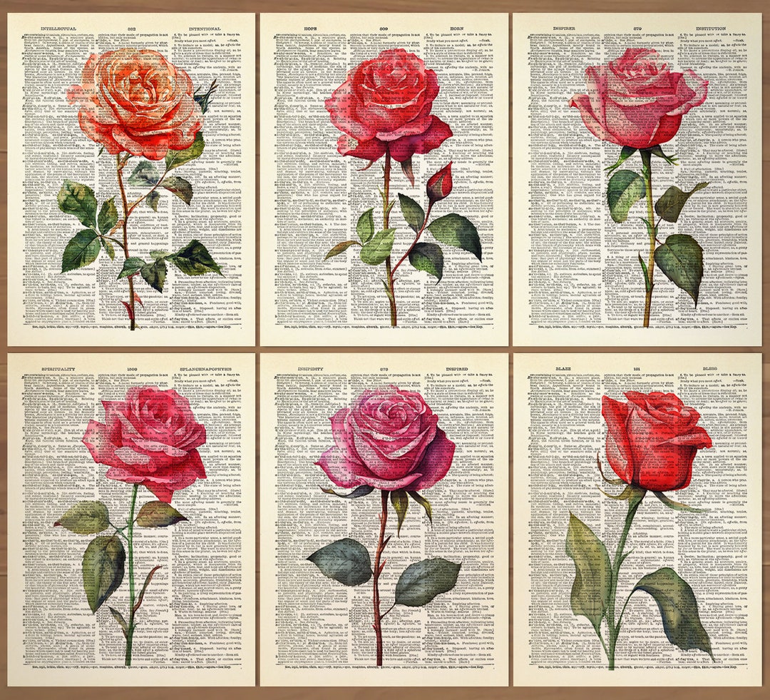 Rose Flower Print Set of 6 Rose Flowers Wall Art Rose Poster Rose Print ...