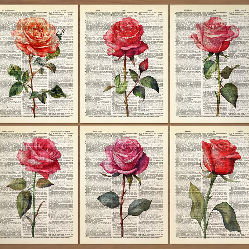 Rose Prints - Etsy