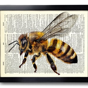 Bee Print Set of 7 Prints Bee Poster Bee Farmhouse Decor Bumble Bee Art ...