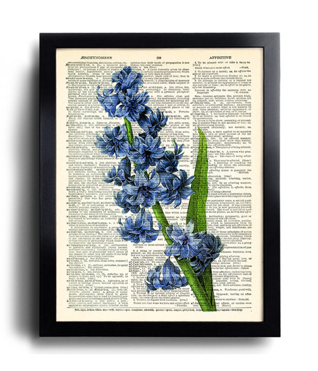 Blue Hyacinth Flower Art Print Vintage Book Print Upcycled Vintage ...
