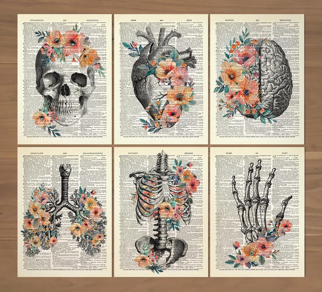 Anatomy Print Set of 6 Human Anatomy Poster Floral Medical Wall Art ...