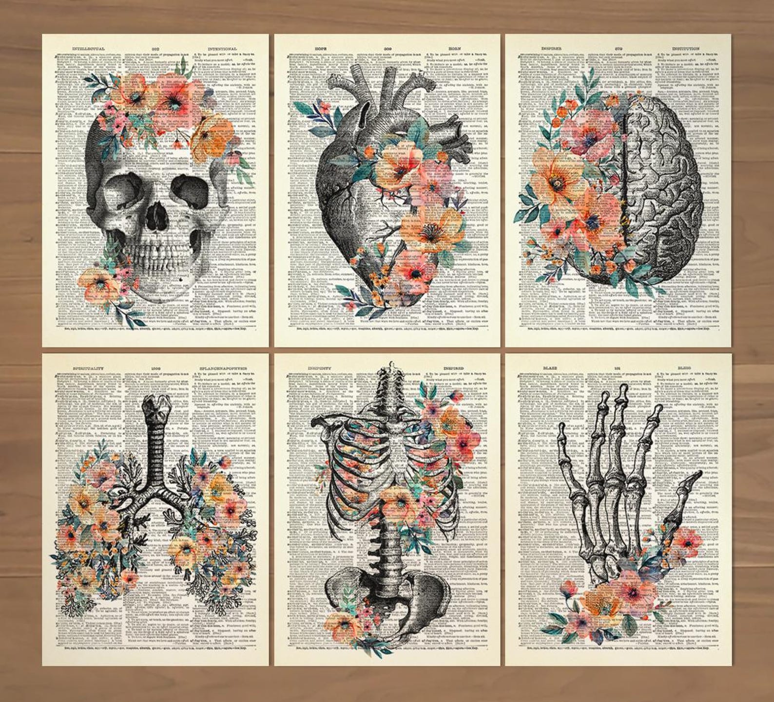 Anatomy Print Set of 6 Human Anatomy Poster Floral Medical Wall Art ...