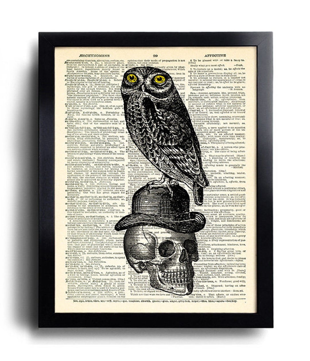 Owl Skeleton Illustration