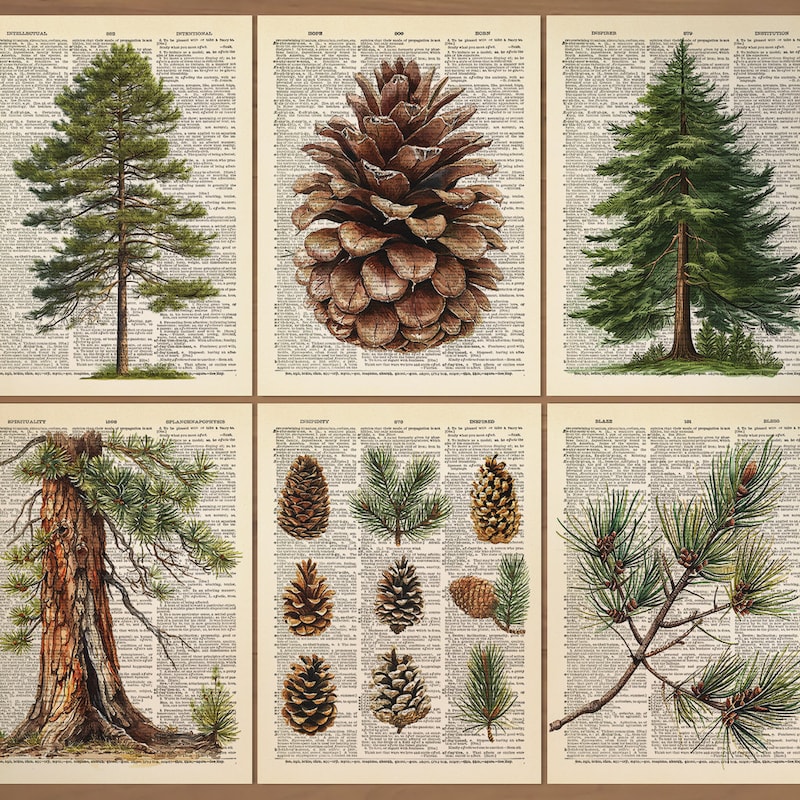 Tree String Art - Etsy