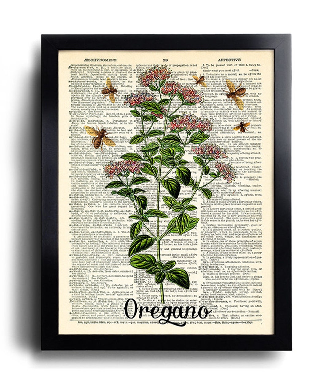 Oregano Print Cooking Herb Print Kitchen Herbs Print Herbs Wall Decor ...
