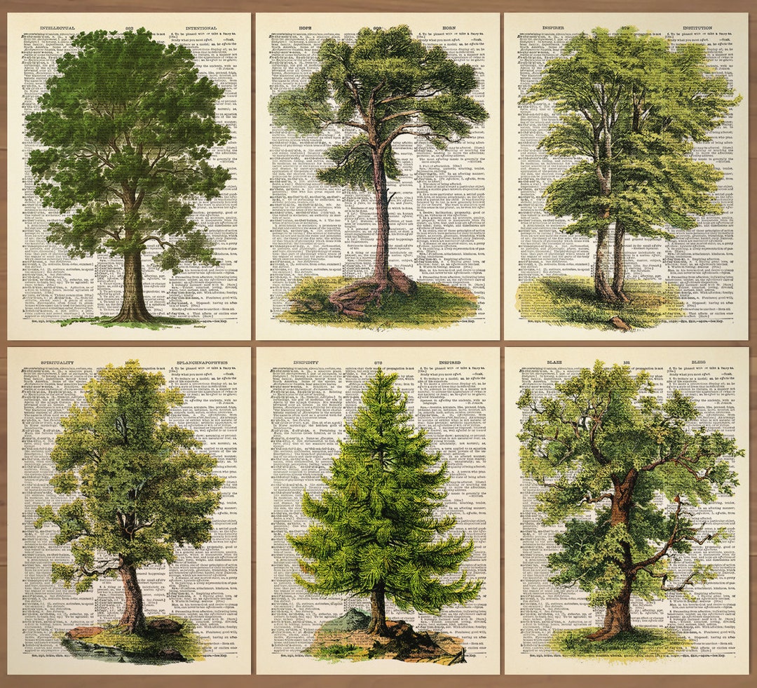 Tree Print Set of 6 Trees Poster Tree Green Nature Print Vintage Book ...