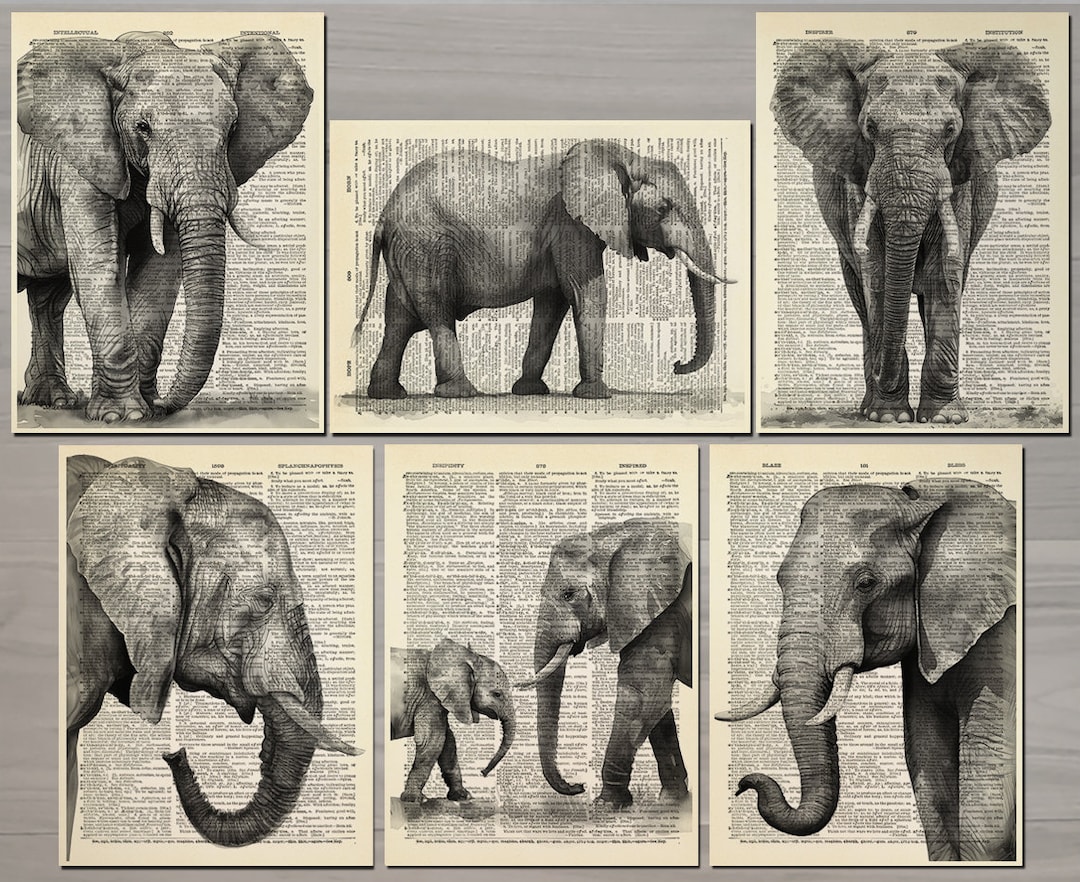 Elephant Print Set 6 Elephant Poster Elephant Wall Art Elephant ...