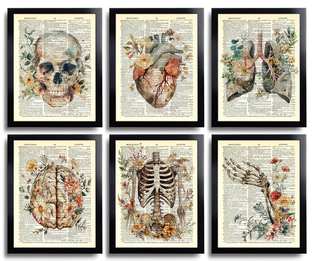Anatomy Print Set 6 Medical Wall Art Anatomical Poster Home Decor Gifts ...